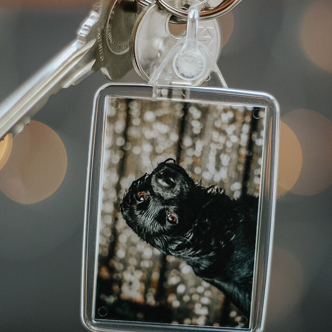 Personalised Photo Gift Ideas For Pet Lovers | Snapfish UK