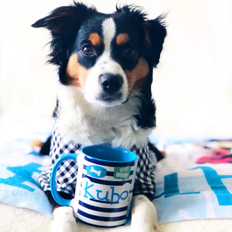 Farewell to Truprint as it joins the Snapfish family | Snapfish UK