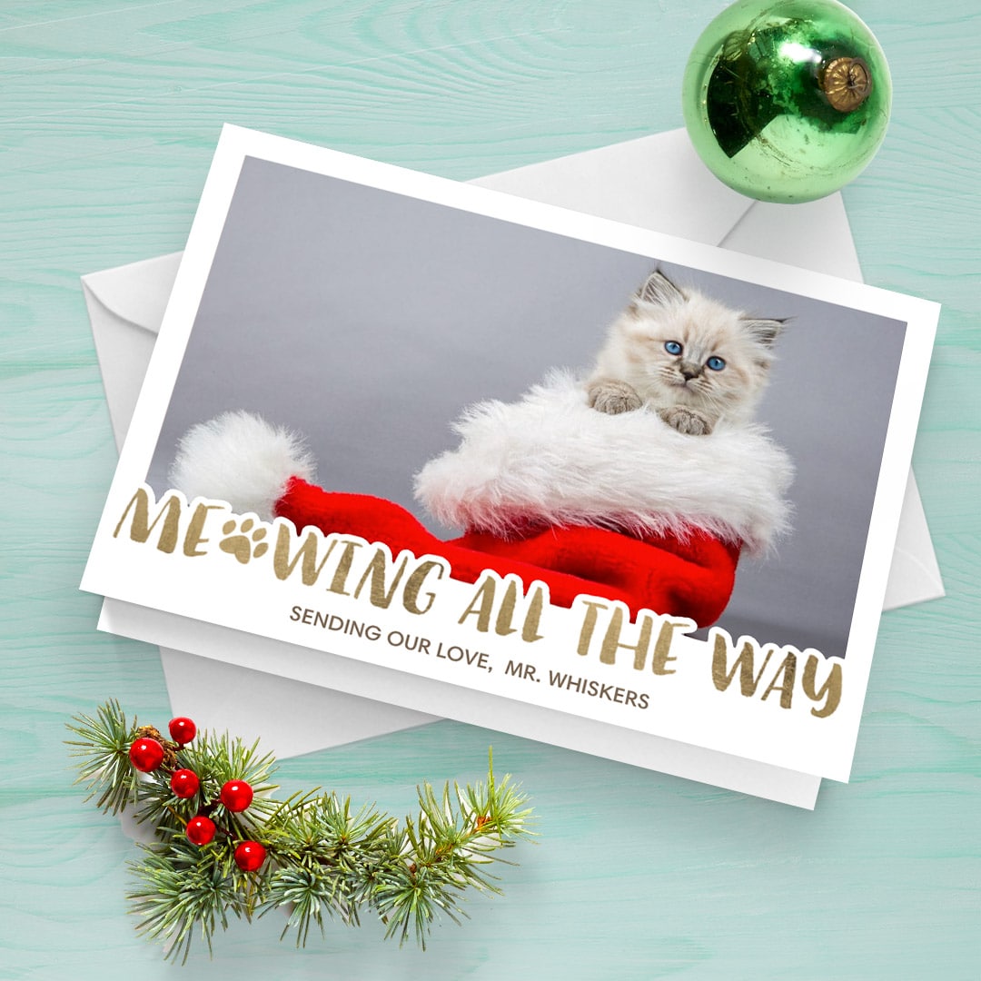 Creative Tips For Pet Themed Christmas Cards Snapfish UK creative-tips-for-pet-themed-christmas-cards-snapfish-uk