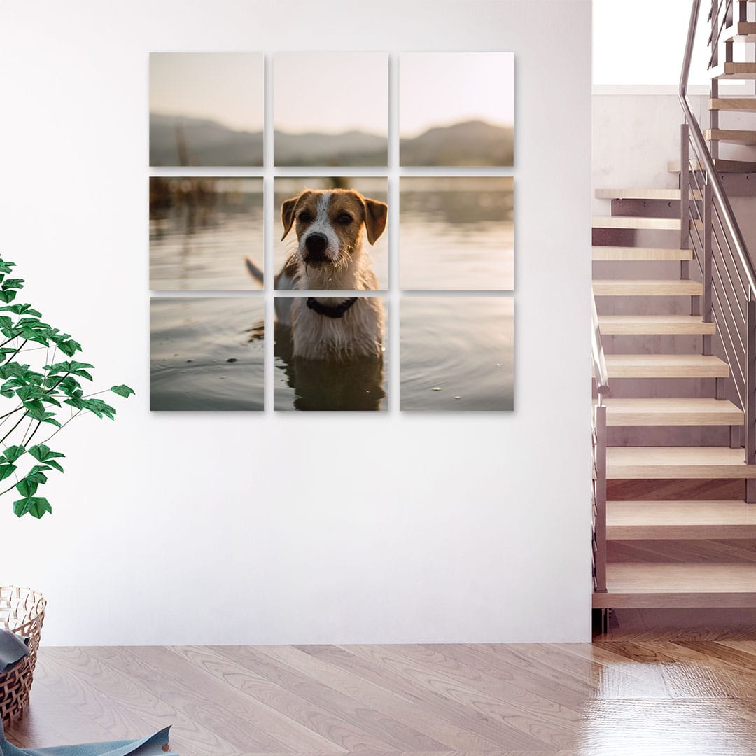 Split Canvas Prints – Create wow-worthy works of art! | Snapfish UK