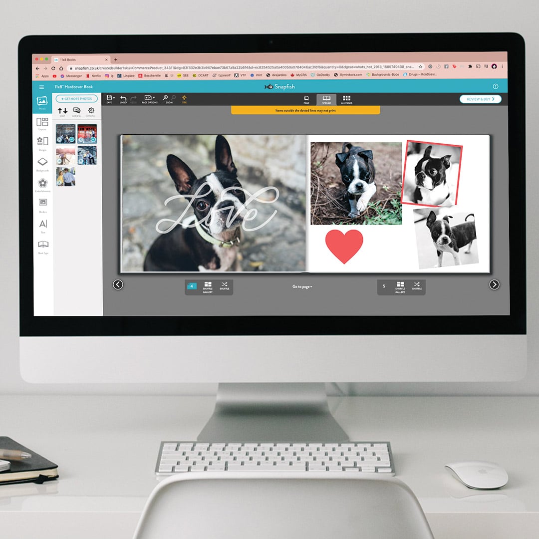 Valentine's Day Pet Gifts | Snapfish UK