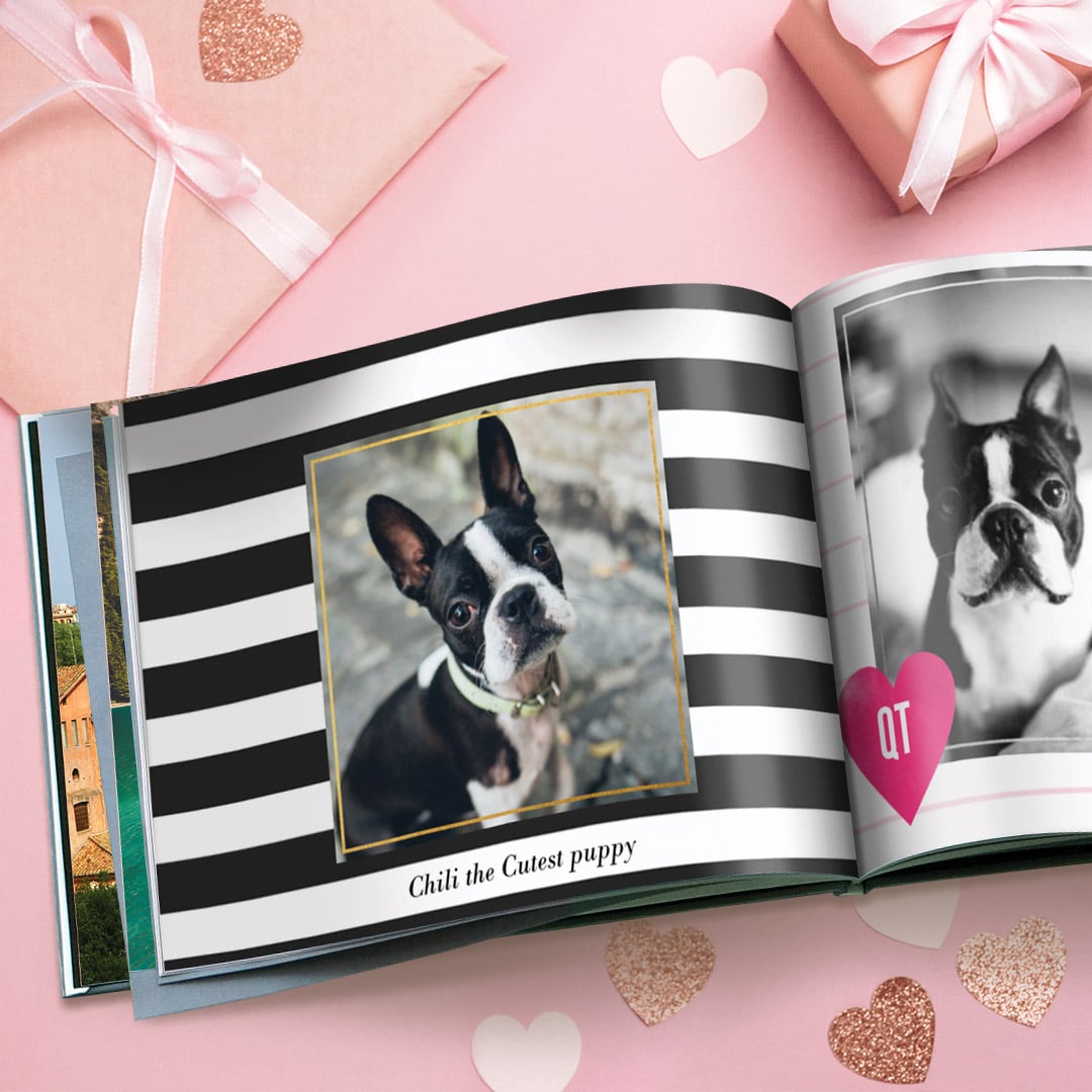 Valentine's Day Pet Gifts | Snapfish UK