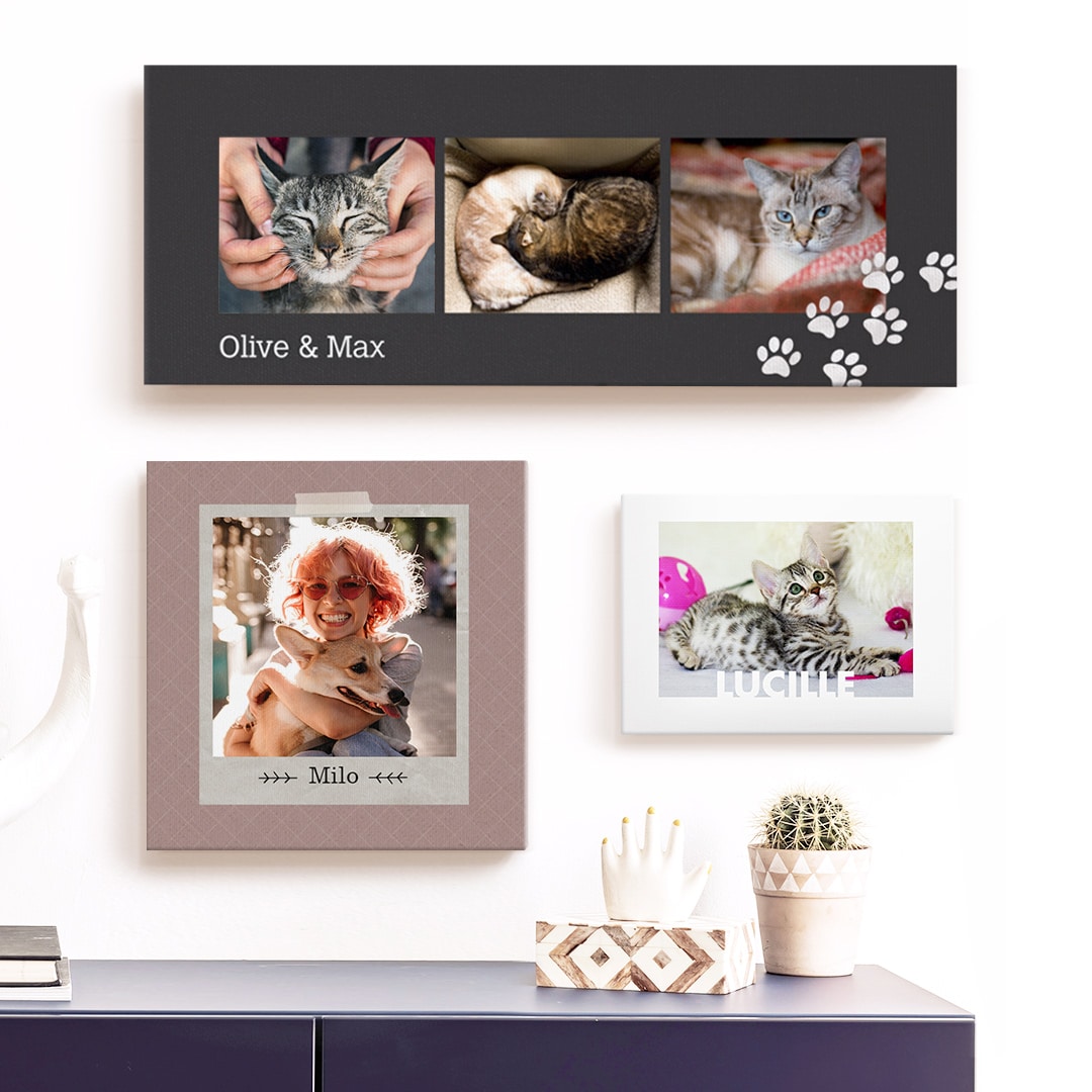 New Canvas Photo Print Designs | Snapfish UK