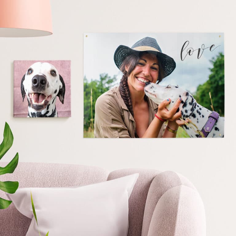 Hexagon Photo Tiles - Perfect for Picture Gallery Walls | Snapfish UK