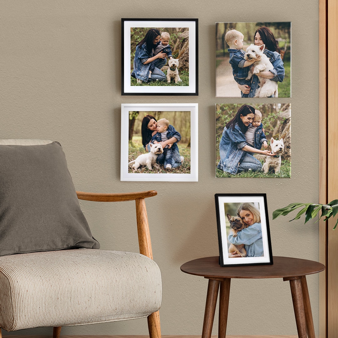 Design Party Decor, Invites & Favours For Your Pet | Snapfish UK